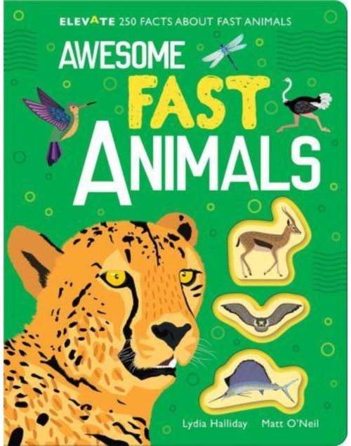 Awesome Fast Animals | Pegasas
