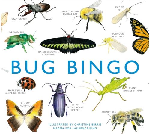 Bug Bingo | Pegasas