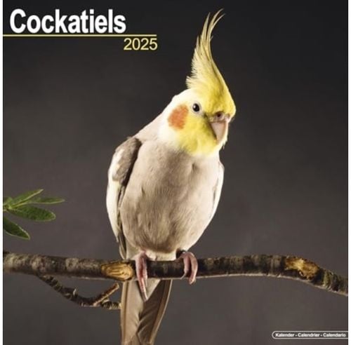 Cockatiels Calendar 2025 Square Bird Wall Calendar - 16 Month | Pegasas