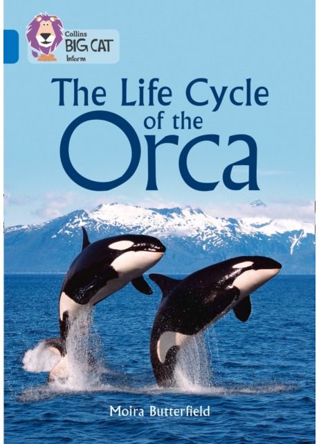 Life Cycle of the Band 16/Sapphire | Pegasas