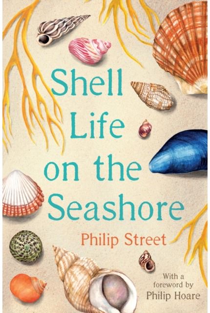 Shell Life on the | Pegasas