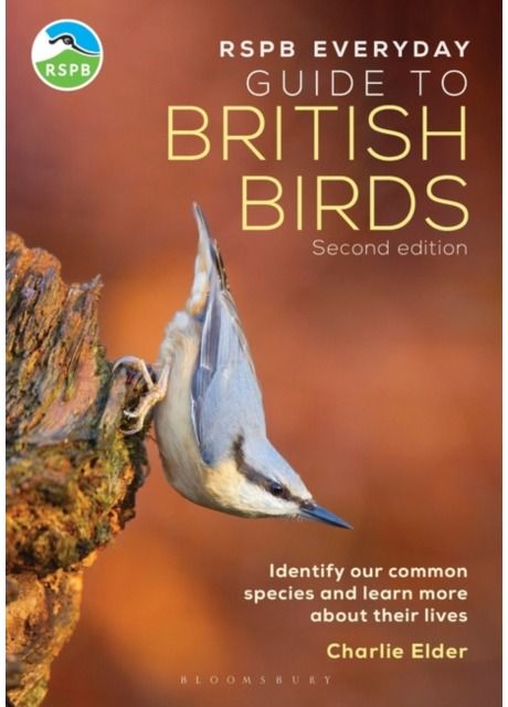 RSPB Everyday Guide to British Birds Identify our common | Pegasas