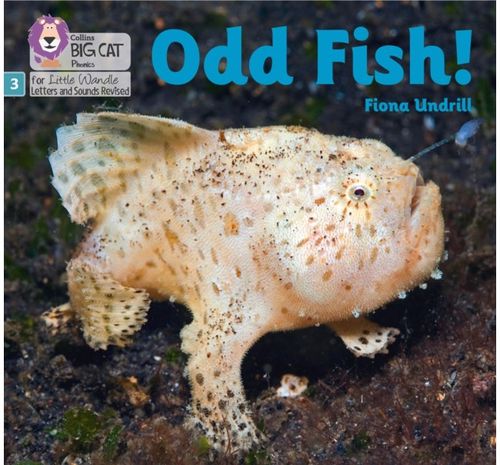 Odd Fish! Phase 3 Set 1 | Pegasas