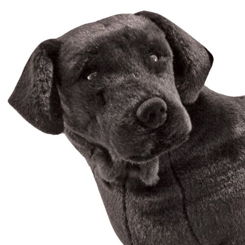 Didelis pliušinis žaislas MELISSA&DOUG juodas labradoras 80 cm. | Pegasas