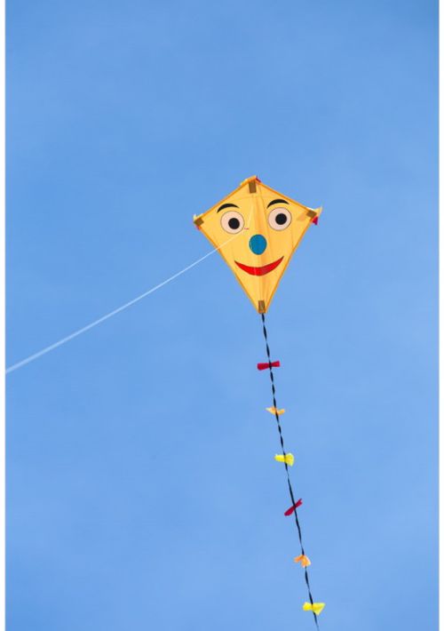 Aitvaras ECOLINE: Eddy Happy Face 50cm | Pegasas