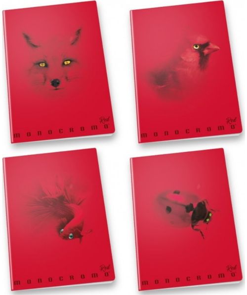 Sąsiuvinis Pigna MONOCROMO RED, A5, 40 l., linijomis | Pegasas