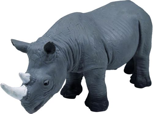 REP PALS Guminis raganosis | Pegasas