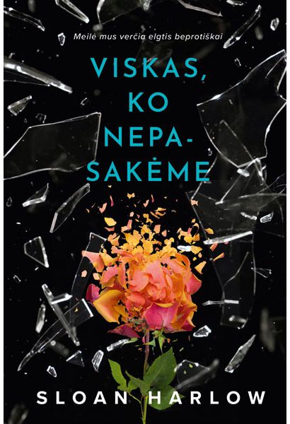 Viskas, ko nepasakėme. E.knyga | Pegasas